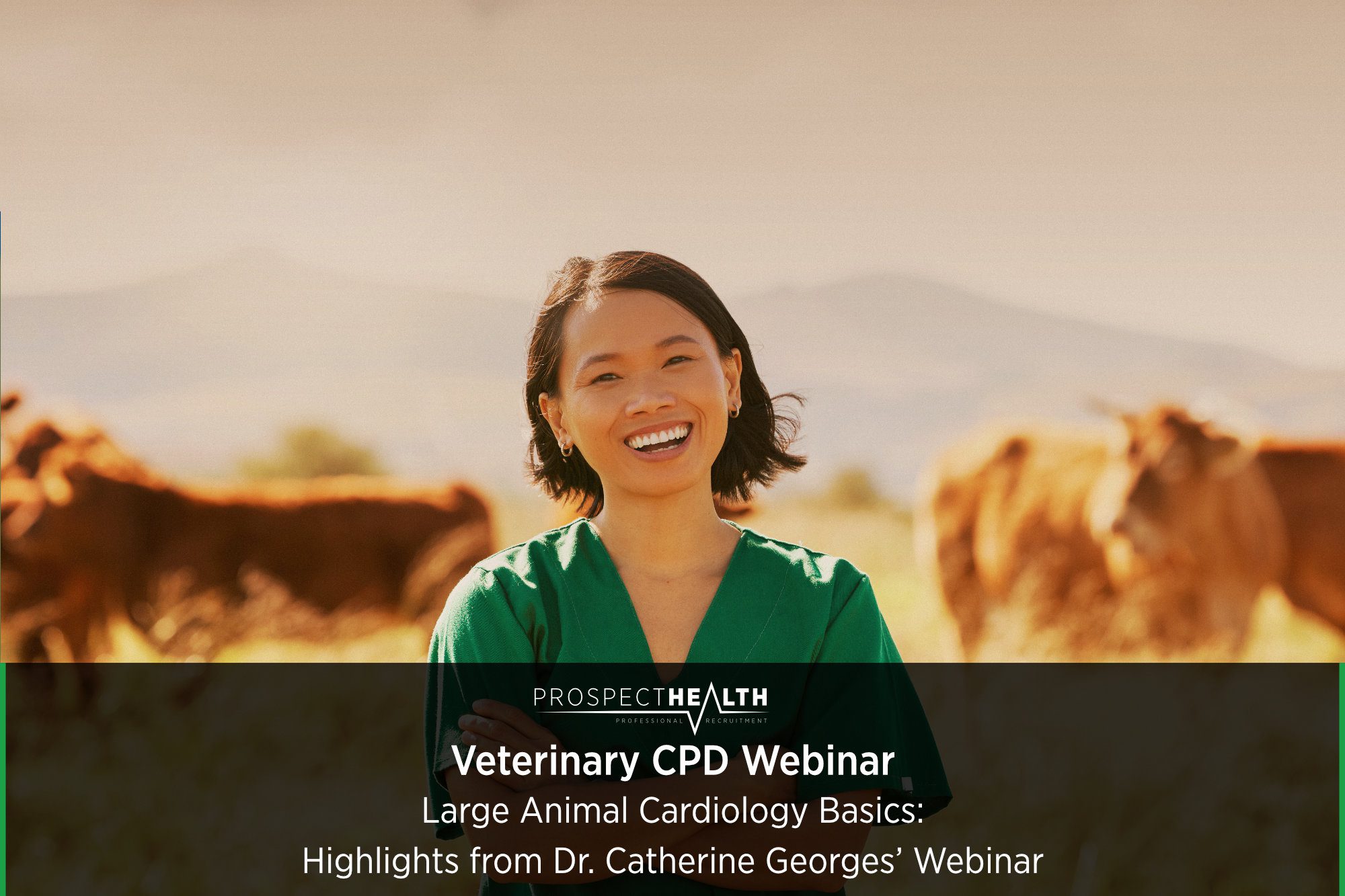 Veterinary CPD webinar - Large Animal Cardiology Basics